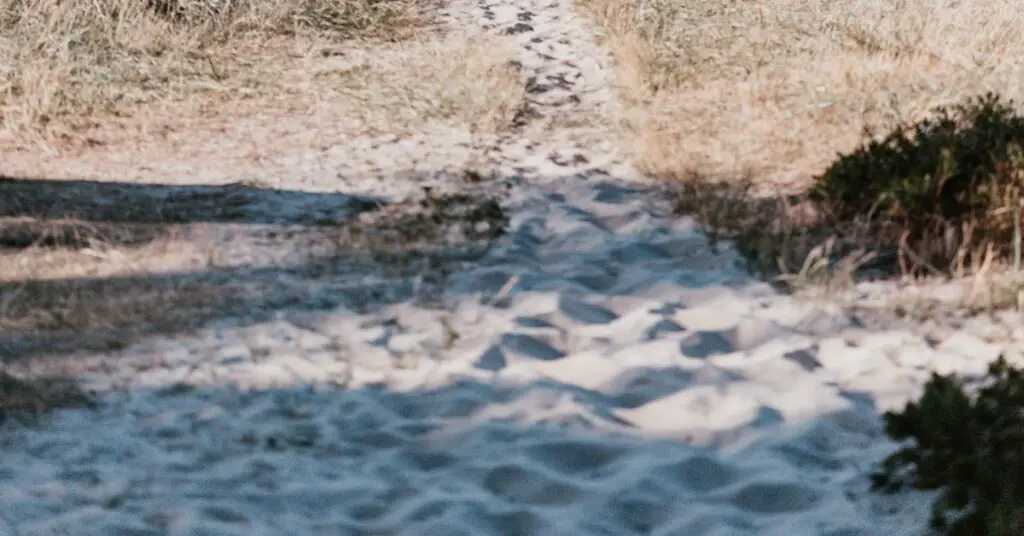 something is rotten in the state of Denmark: Idiom Meaning and Origin ...