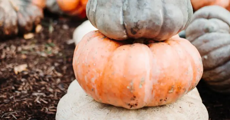 fall in line: Idiom Meaning and Origin - The Village Idiom