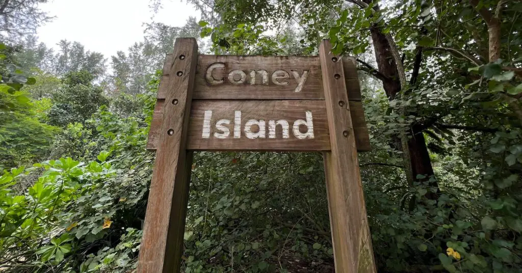 dial back: Idiom Meaning and Origin - The Village Idiom