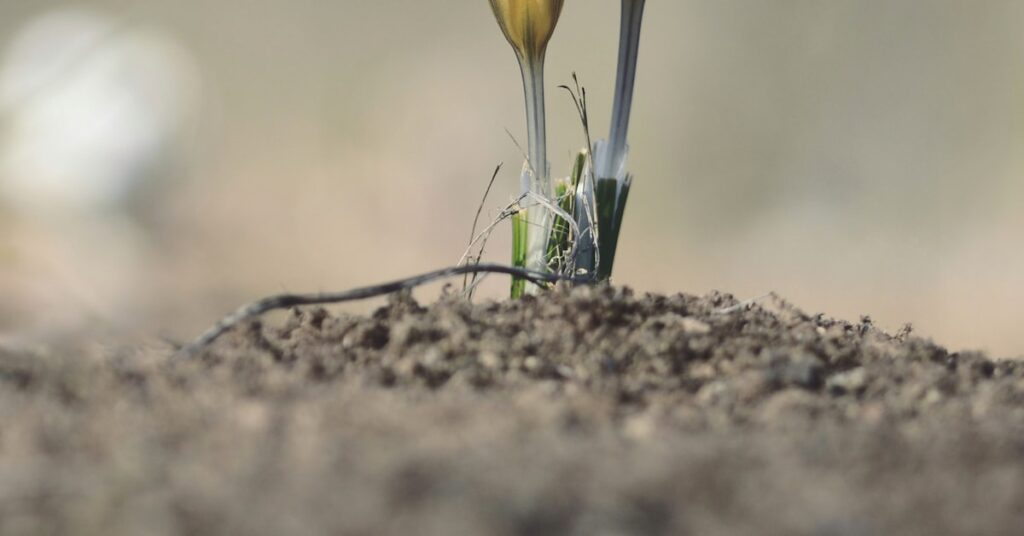 tide over: Idiom Meaning and Origin - The Village Idiom