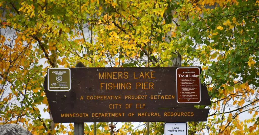 put one's foot in it: Idiom Meaning and Origin - The Village Idiom