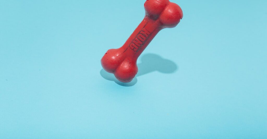 bone-crunching: Idiom Meaning and Origin - The Village Idiom