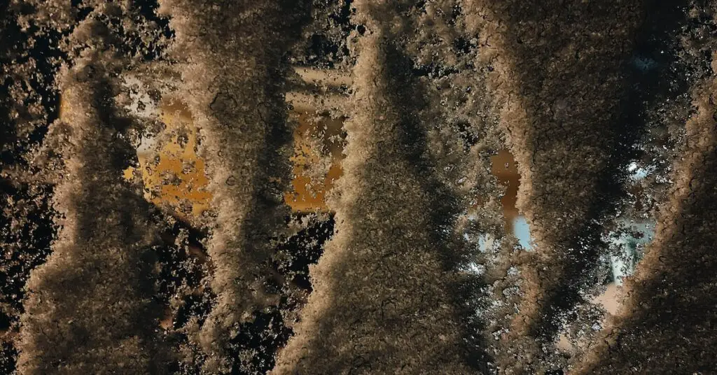 catch a break: Idiom Meaning and Origin - The Village Idiom