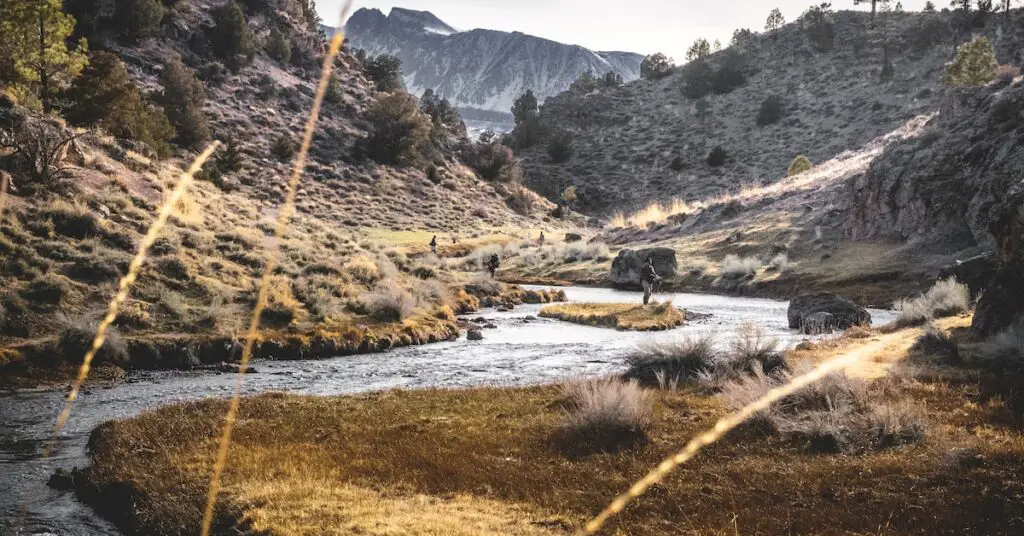 out of the gate: Idiom Meaning and Origin - The Village Idiom