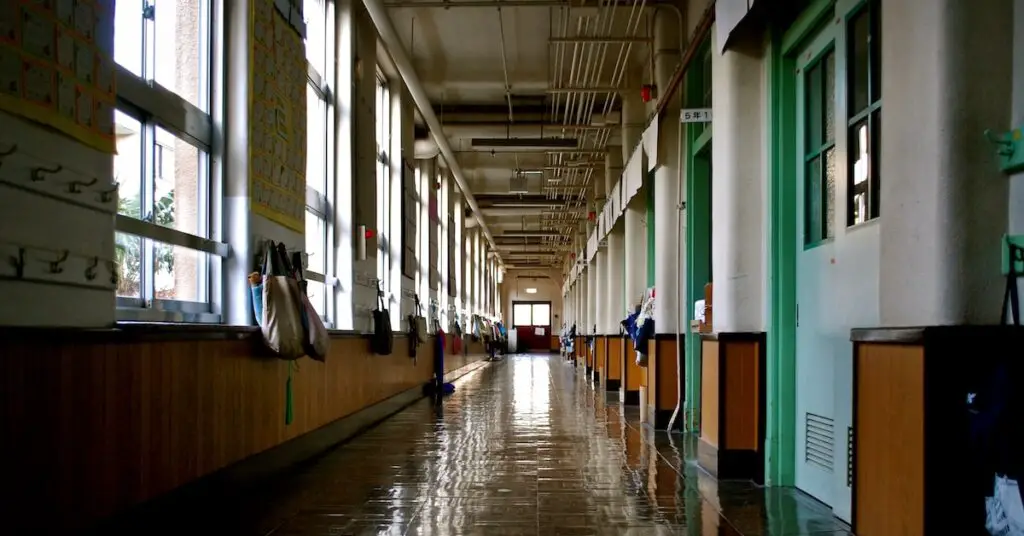 class clown: Idiom Meaning and Origin - The Village Idiom