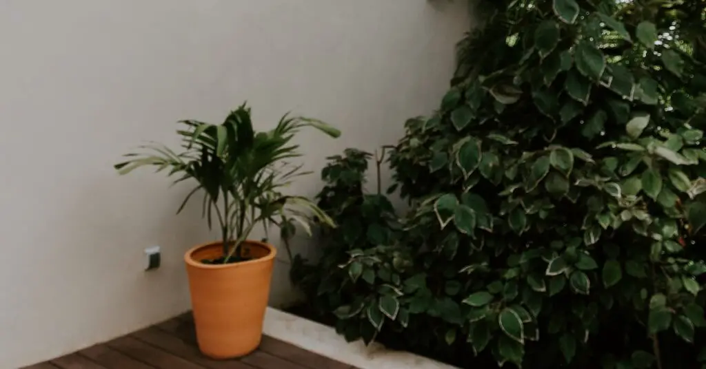 cut corners: Idiom Meaning and Origin - The Village Idiom