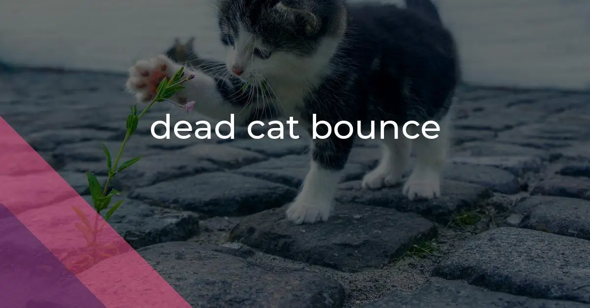dead cat bounce: Idiom Meaning and Origin - The Village Idiom