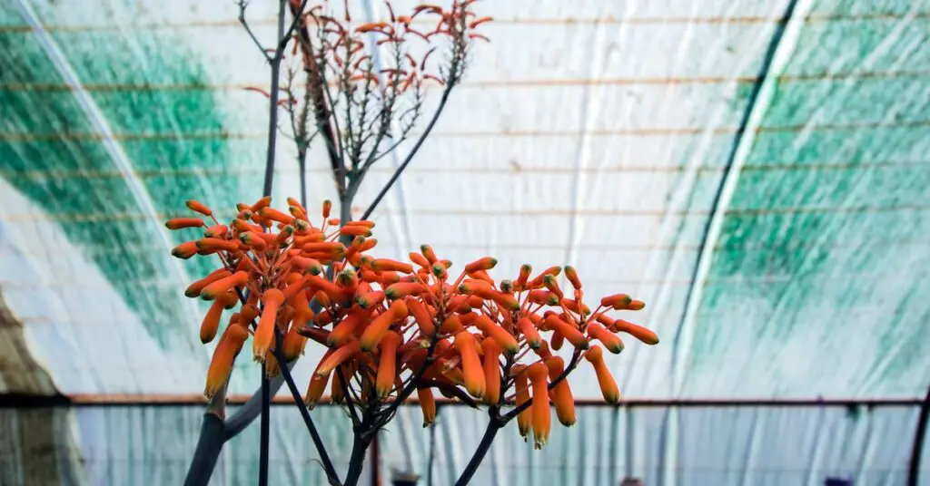 get the sack: Idiom Meaning and Origin - The Village Idiom