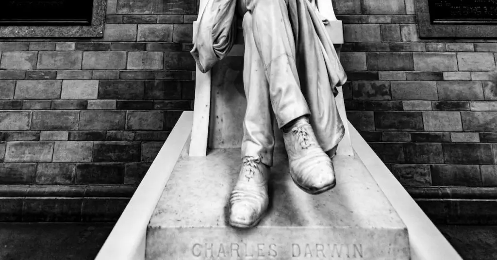 go the way of the dodo: Idiom Meaning and Origin - The Village Idiom