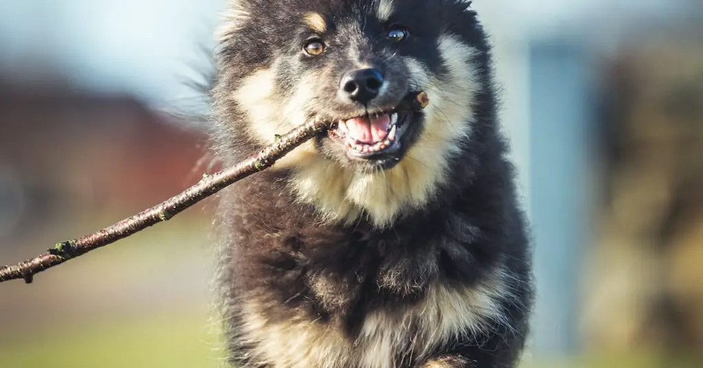 first off: Idiom Meaning and Origin - The Village Idiom