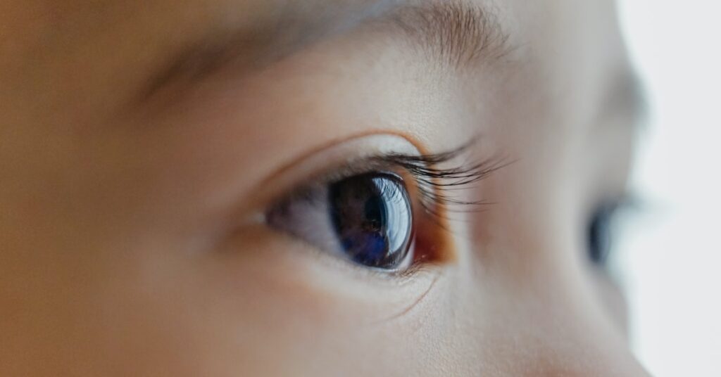keep one's eyes peeled: Idiom Meaning and Origin - The Village Idiom