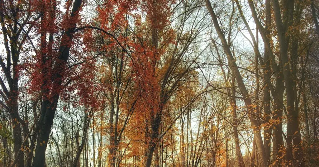 fall between the cracks: Idiom Meaning and Origin - The Village Idiom