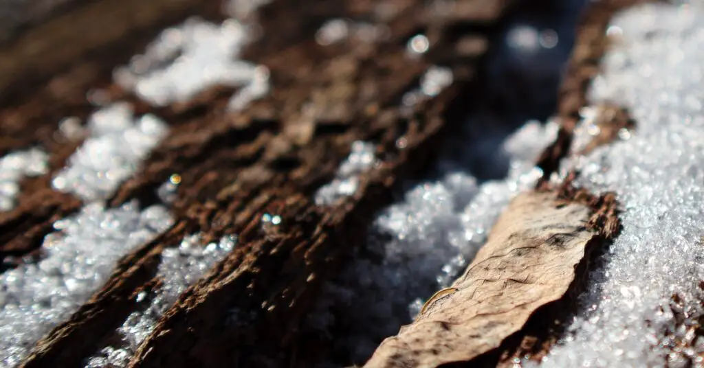 falling out: Idiom Meaning and Origin - The Village Idiom