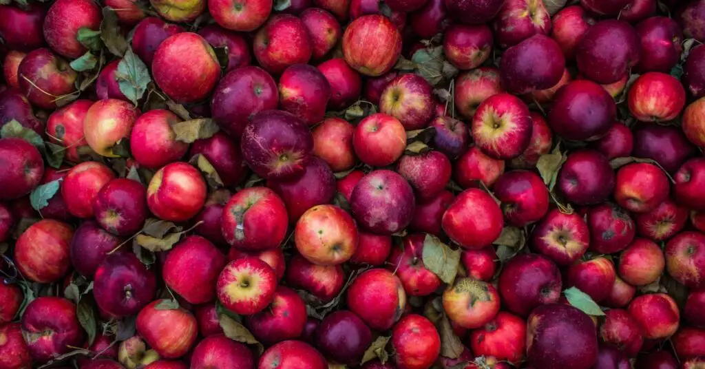 sweet tooth: Idiom Meaning and Origin - The Village Idiom