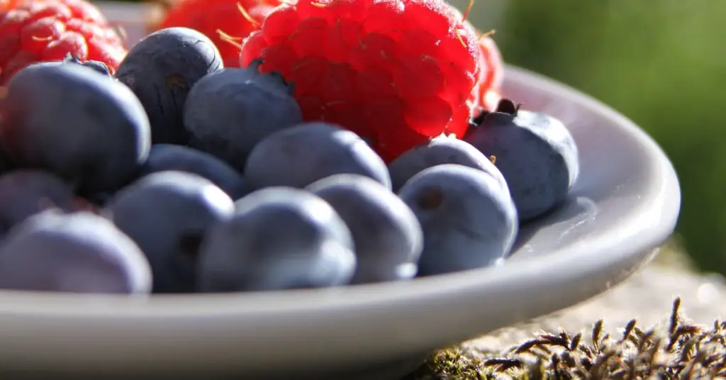 knuckle sandwich: Idiom Meaning and Origin - The Village Idiom