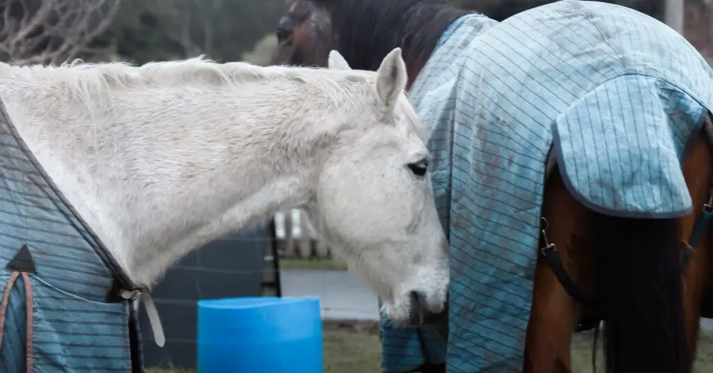 run the gauntlet: Idiom Meaning and Origin - The Village Idiom