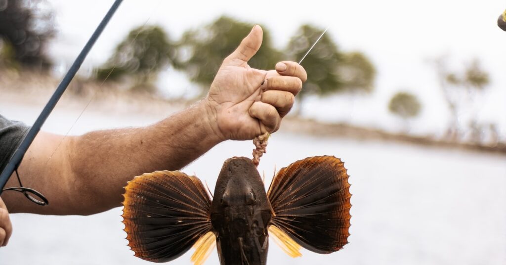 kettle of fish: Idiom Meaning and Origin - The Village Idiom