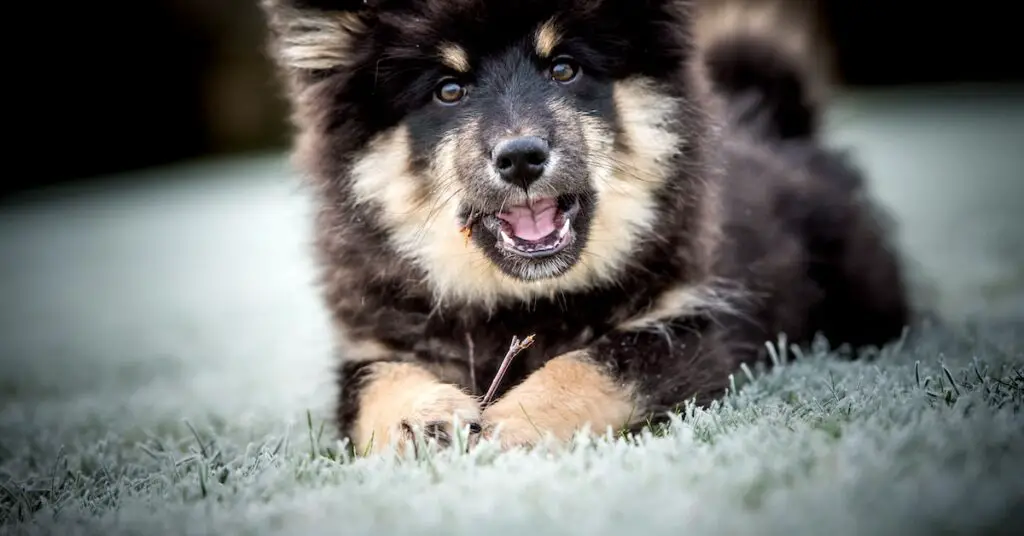 broaden someone's horizons: Idiom Meaning and Origin - The Village Idiom