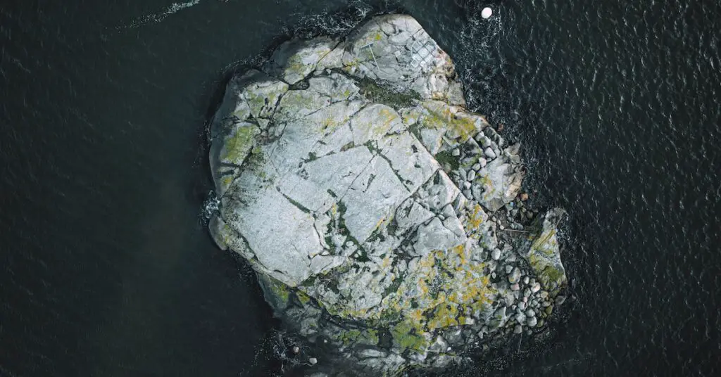 all ears: Idiom Meaning and Origin - The Village Idiom