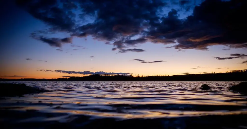 not on your nelly: Idiom Meaning and Origin - The Village Idiom