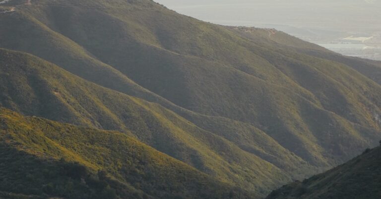 pass muster: Idiom Meaning and Origin - The Village Idiom