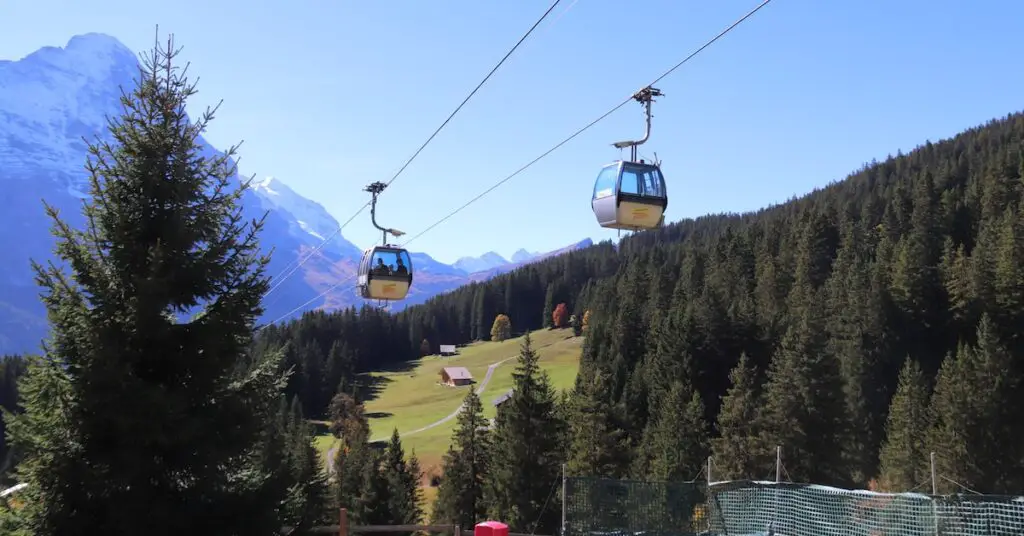 play first fiddle: Idiom Meaning and Origin - The Village Idiom