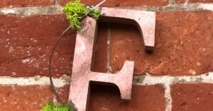 put back: Idiom Meaning and Origin - The Village Idiom