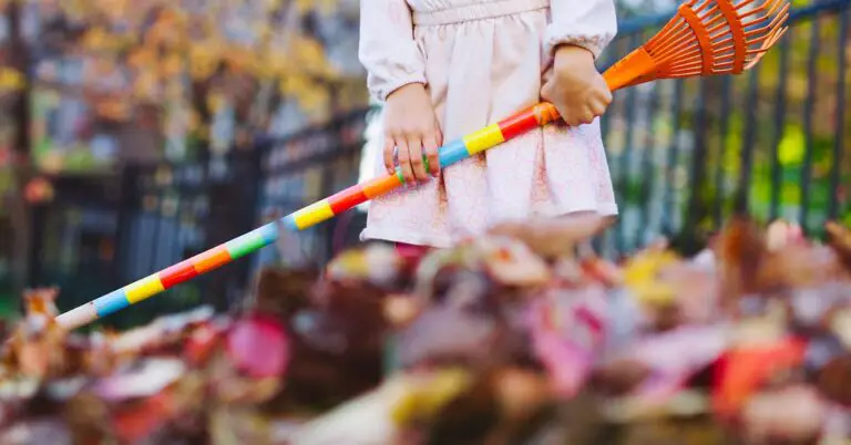 rake over the coals: Idiom Meaning and Origin - The Village Idiom