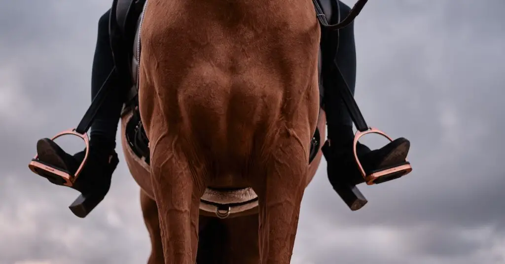 saddle tramp: Idiom Meaning and Origin - The Village Idiom