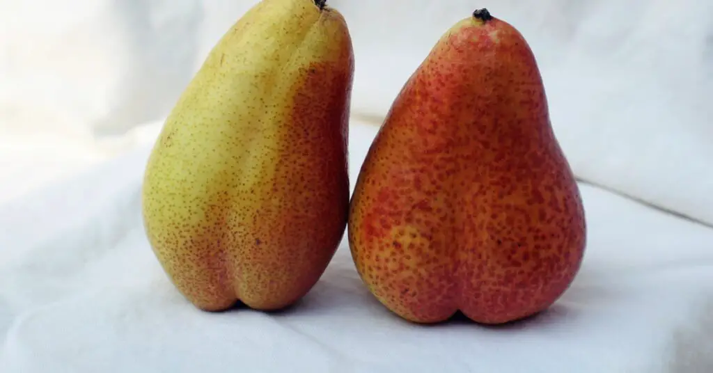 sing off the same hymn sheet: Idiom Meaning and Origin - The Village Idiom