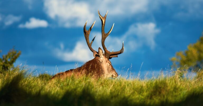 slip through the cracks: Idiom Meaning and Origin - The Village Idiom