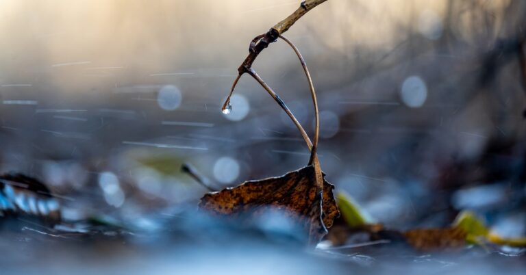 soft touch: Idiom Meaning and Origin - The Village Idiom