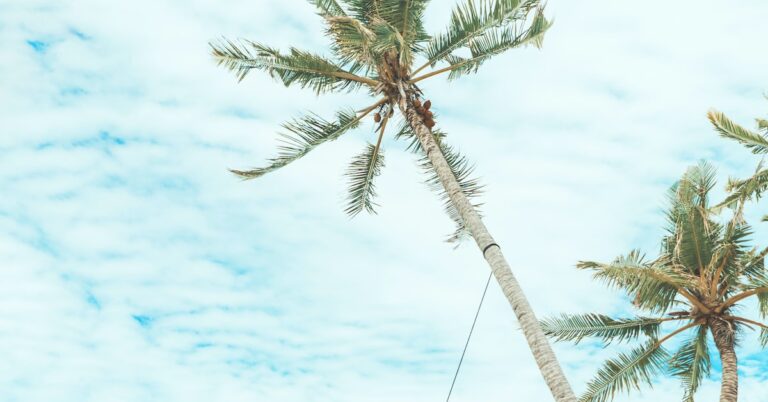 swing both ways: Idiom Meaning and Origin - The Village Idiom swing both ways: Idiom Meaning and Origin - The Village Idiom