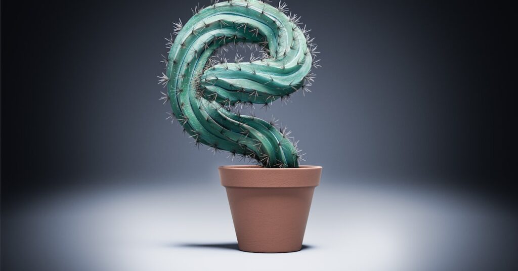 chicken out: Idiom Meaning and Origin - The Village Idiom