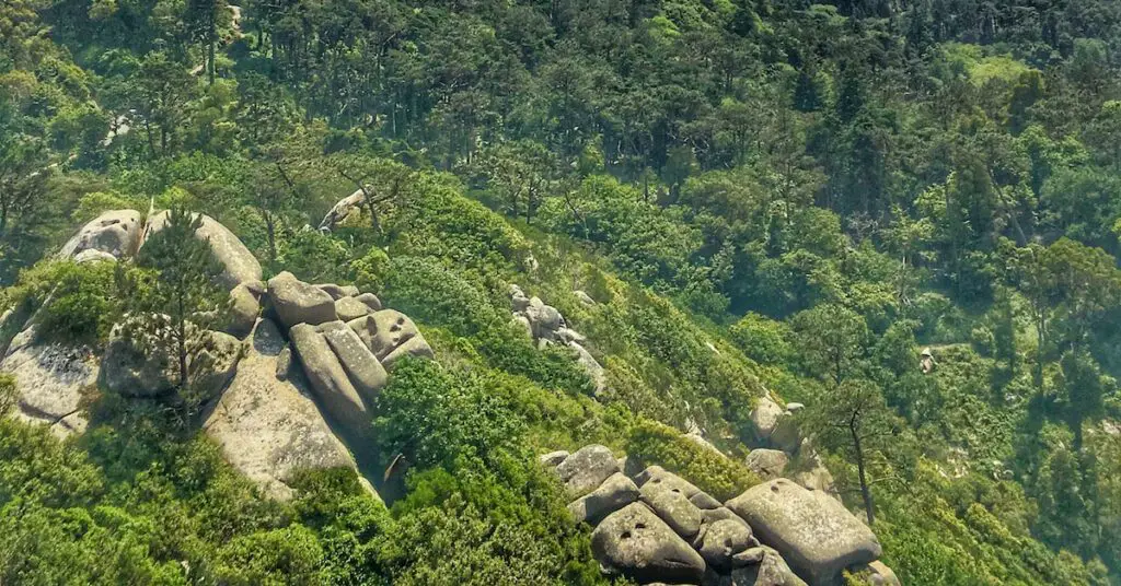 the king is dead, long live the king!: Idiom Meaning and Origin - The ...