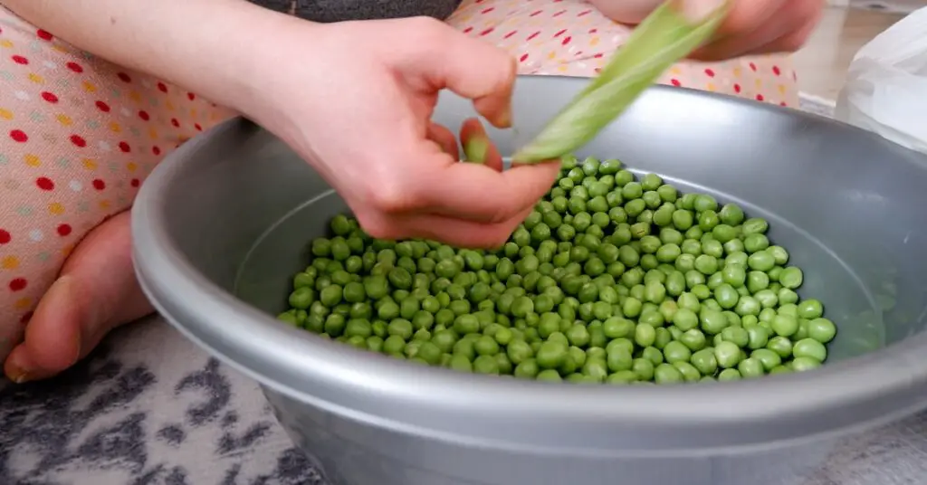 tear up the pea patch: Idiom Meaning and Origin - The Village Idiom