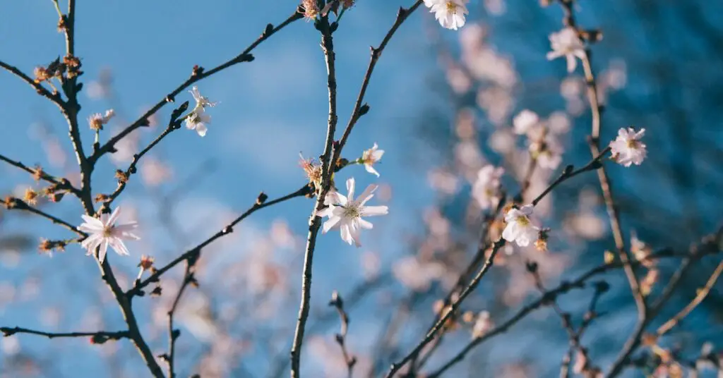 well-padded: Idiom Meaning and Origin - The Village Idiom