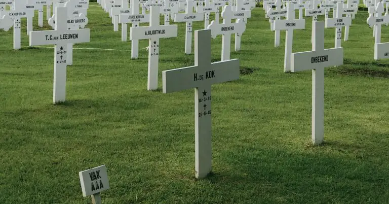 from womb to tomb: Idiom Meaning and Origin - The Village Idiom